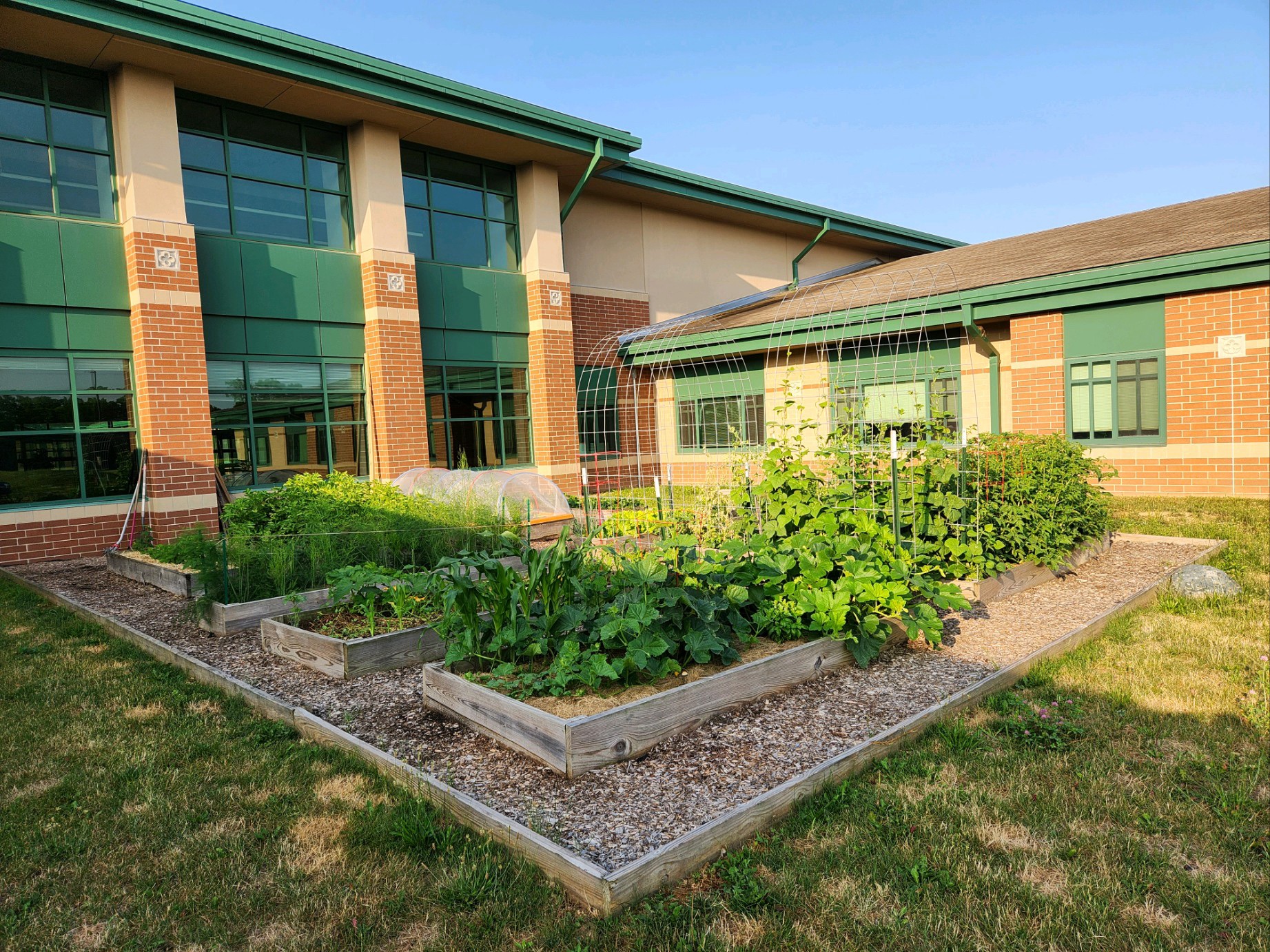 School Gardens – Westfield Green Together