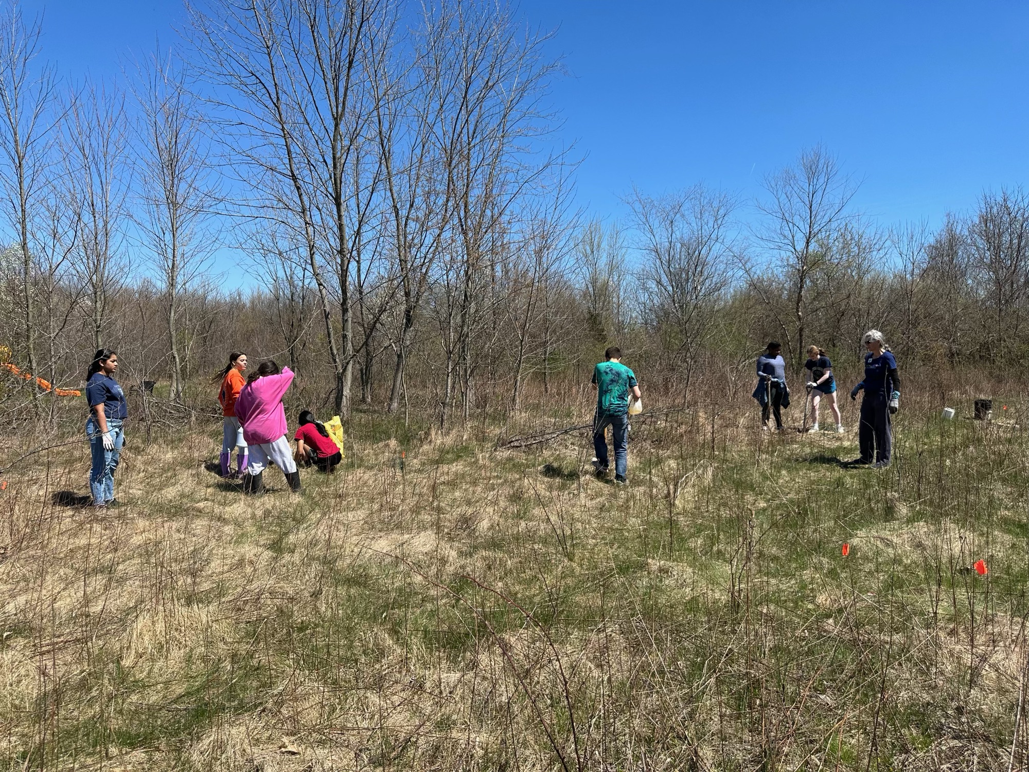 Tree and Shrub plantings – Westfield Green Together