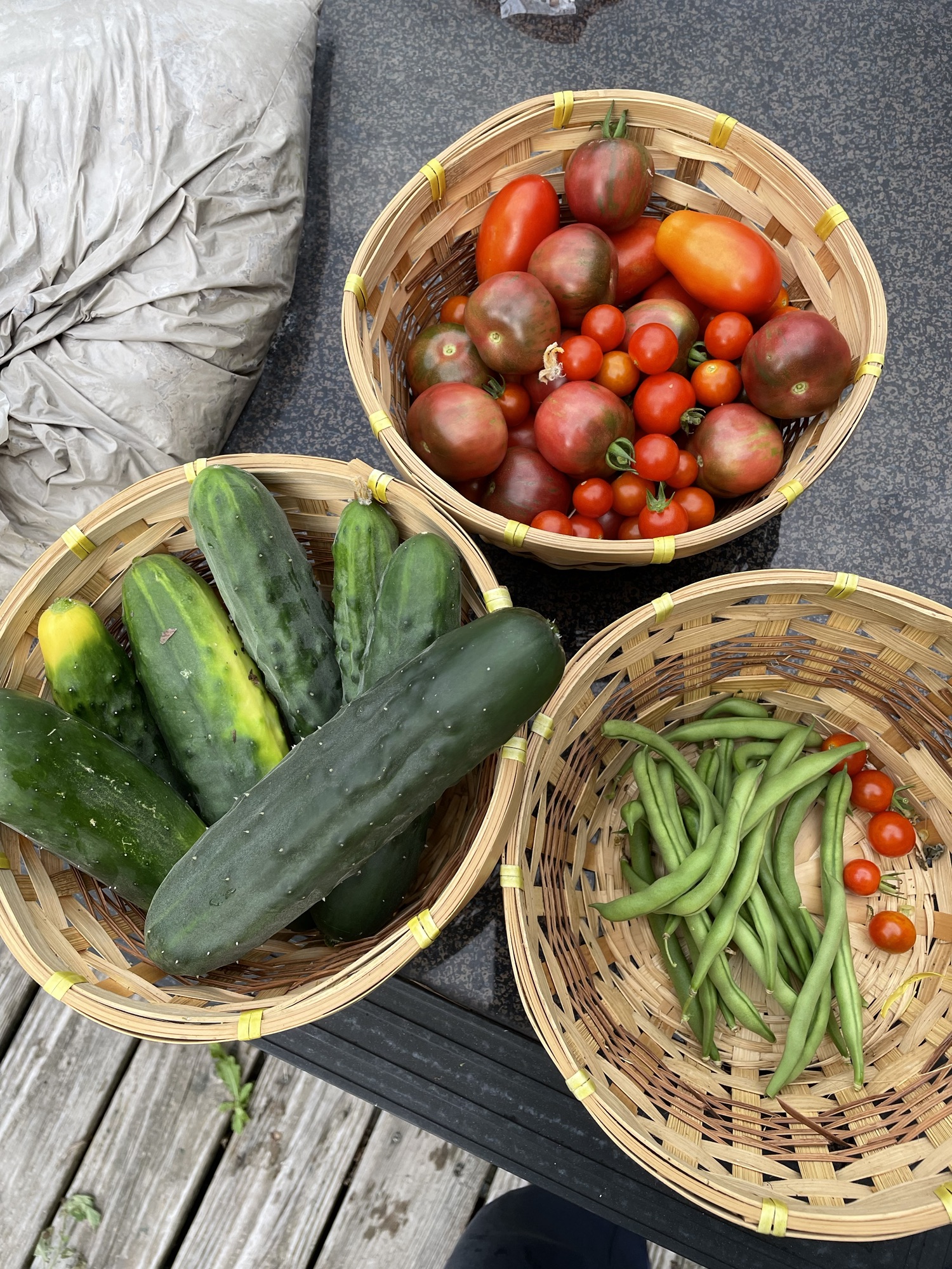 Sharing Garden – Westfield Green Together