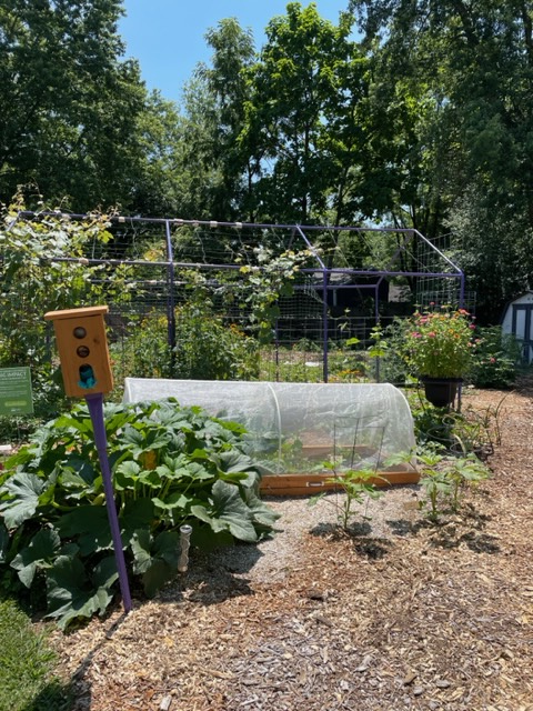 Sharing Garden – Westfield Green Together